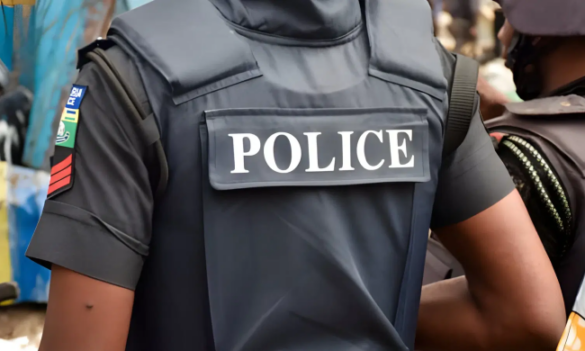 Police Arrest Owner Of Dogs In Lagos After Pets Allegedly Killed Estate ...